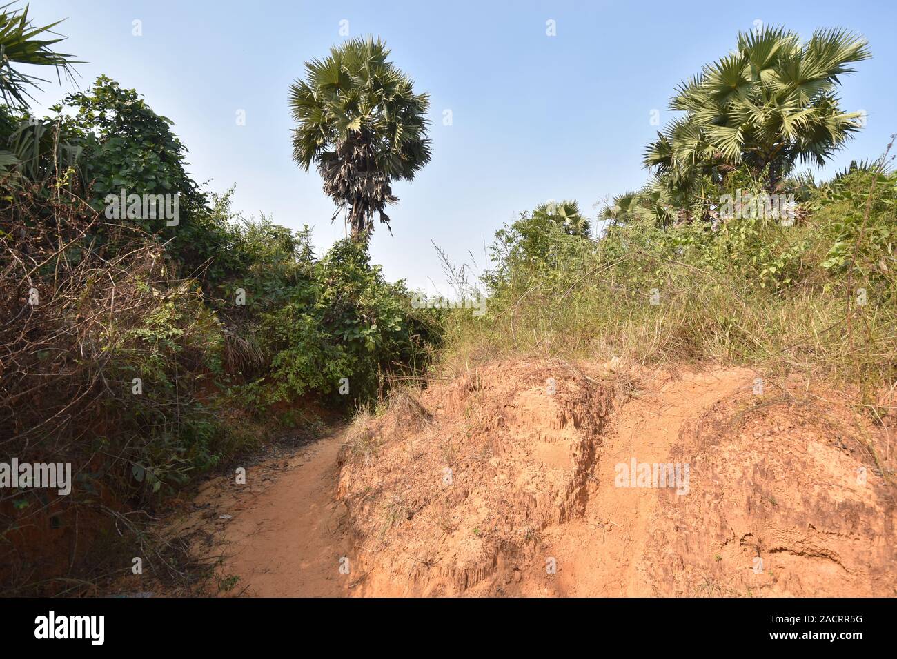 Deep gully gorge hi-res stock photography and images - Alamy