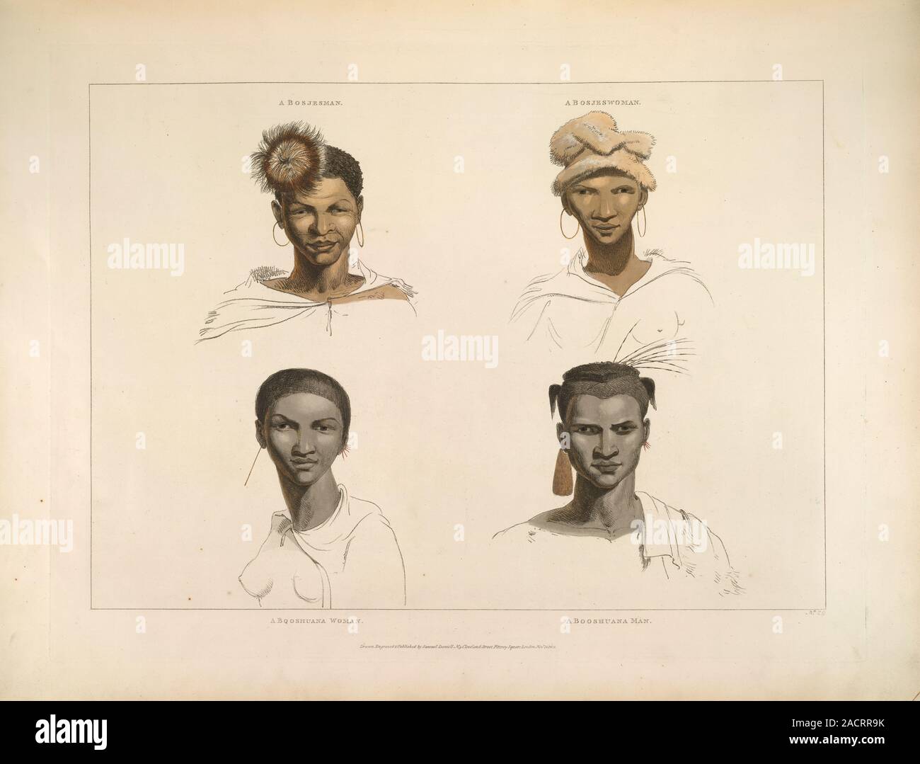 Four portraits A Bosjesman Bosjeswoman Booshuanawoman and Booshuanaman ...