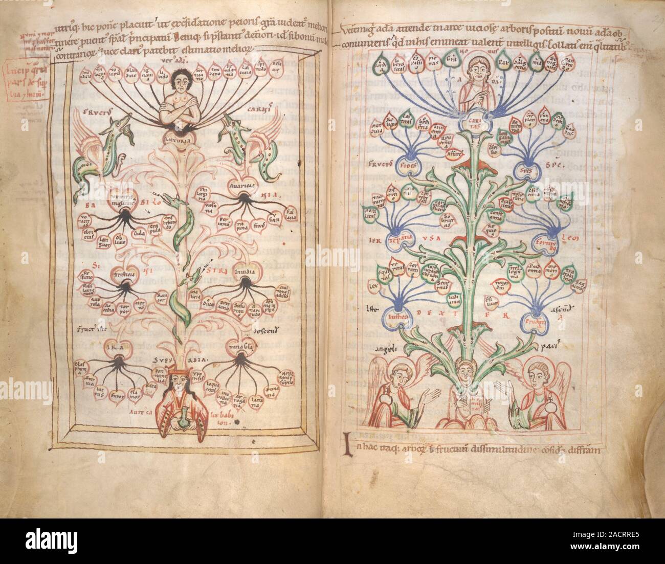 Symbolic trees Whole opening Symbolic trees. The Tree of Vices with ...