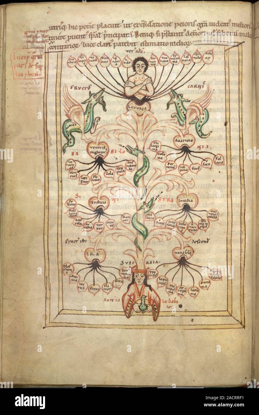 The Tree of Vices (Whole folio) Symbolic tree with Pride at the root ...