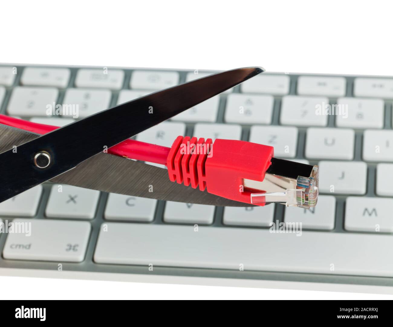 Network cable of a computer Stock Photo - Alamy
