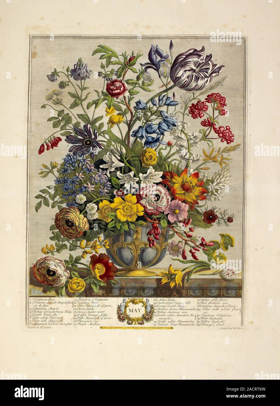 Various flowers (May) Author Robert Furber, Illustrated by Robert ...