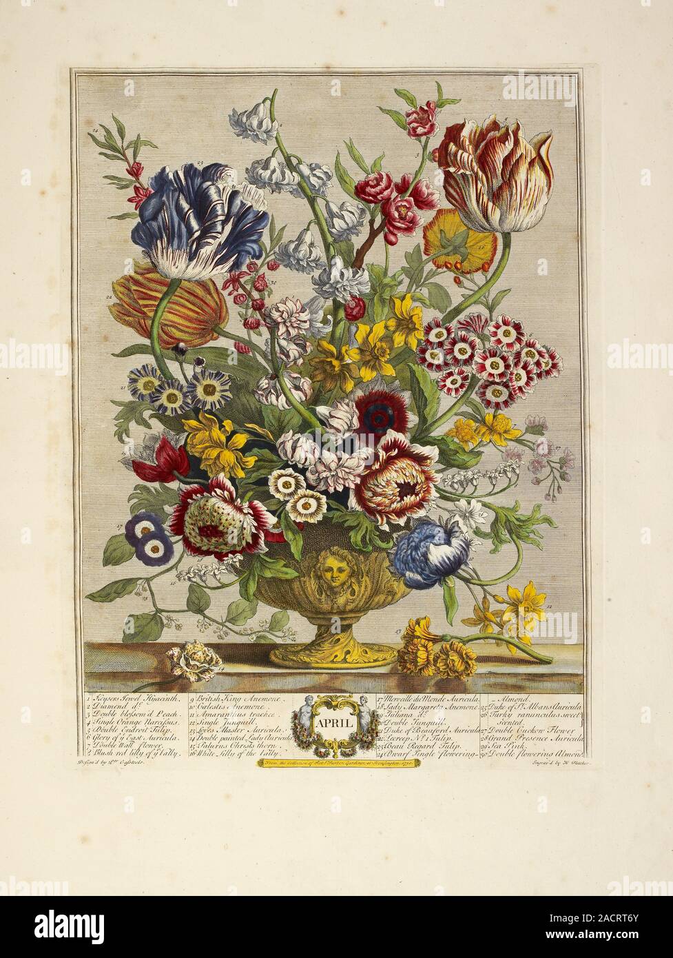 Various flowers (April) Author Robert Furber, Illustrated by Robert ...