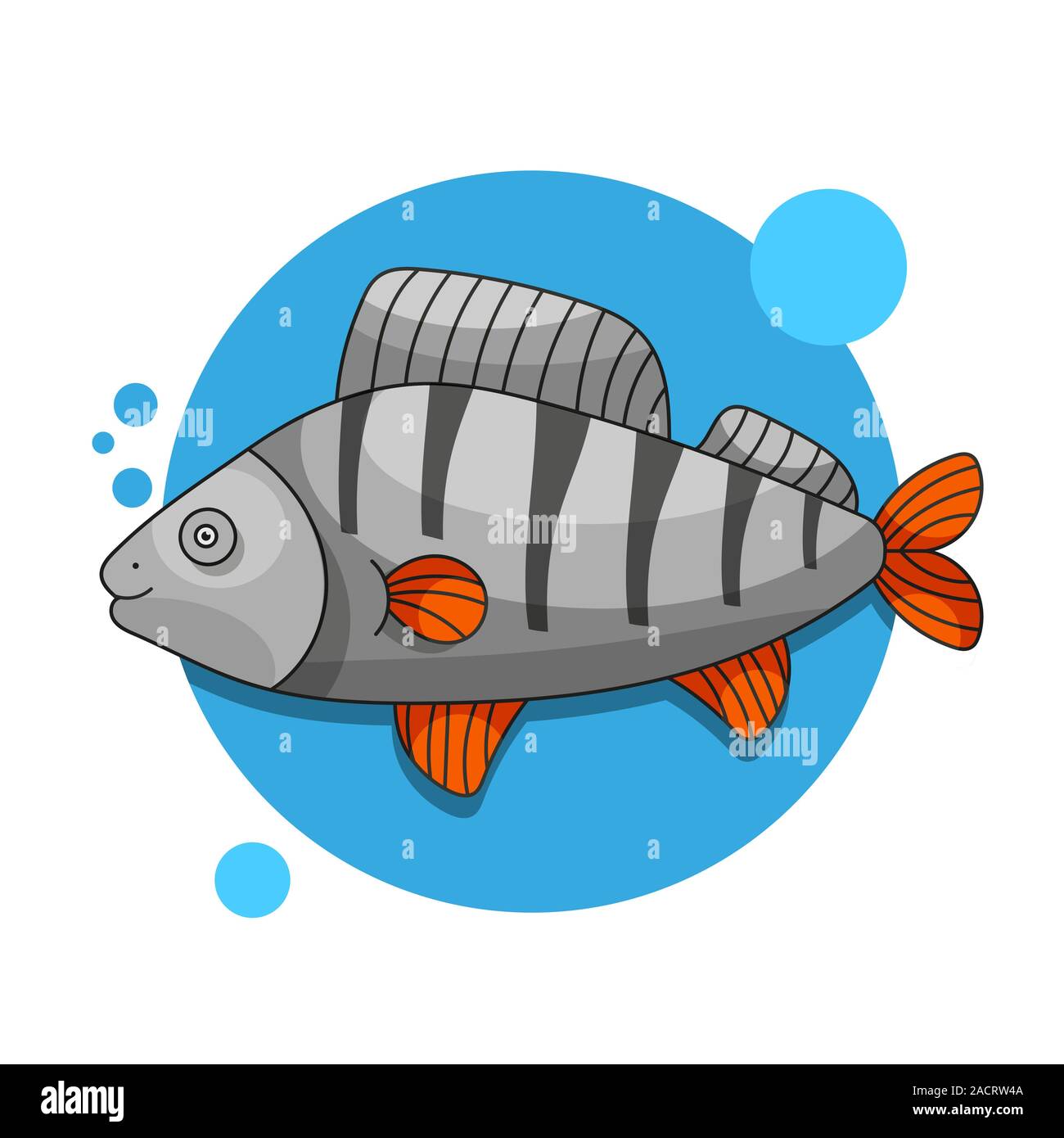 Freshwater Yellow Perch Illustration Art Graphic Design File Stock ...