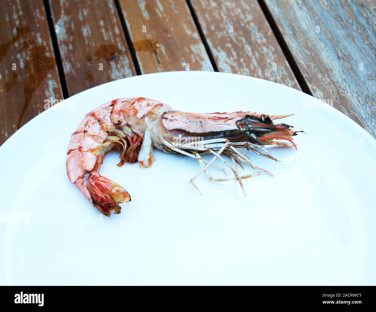Large cooked shrimp on a plate. Close up Stock Photo - Alamy