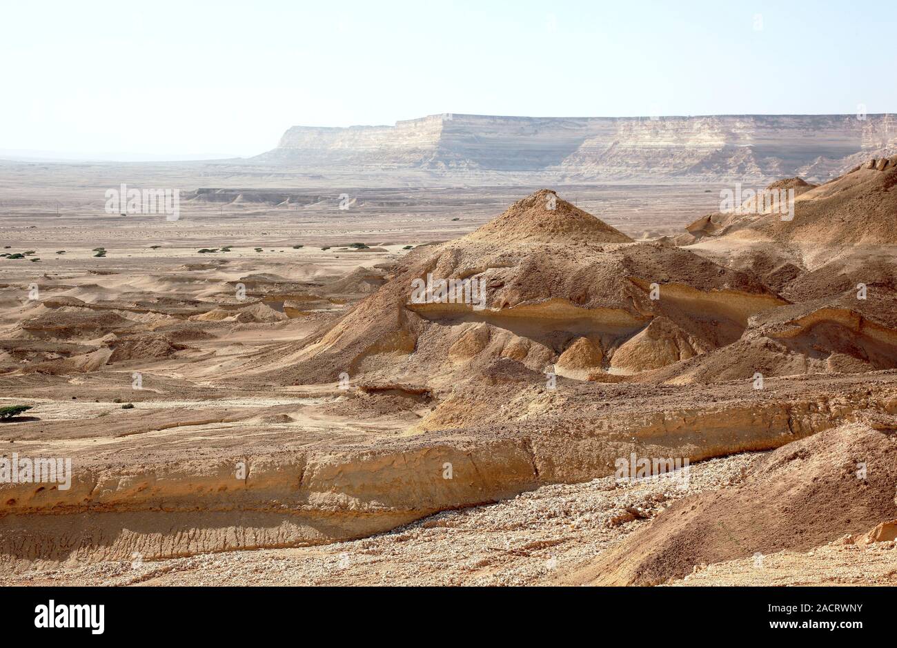 Northern Dhofar, Oman. Dhofar is the largest of the eleven Governorates ...