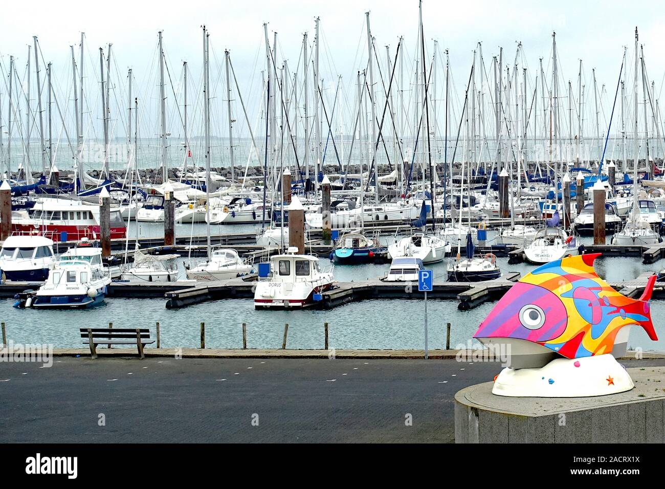 The Marina at Breskens, on the Westerschelde, Netherland. The fish ...