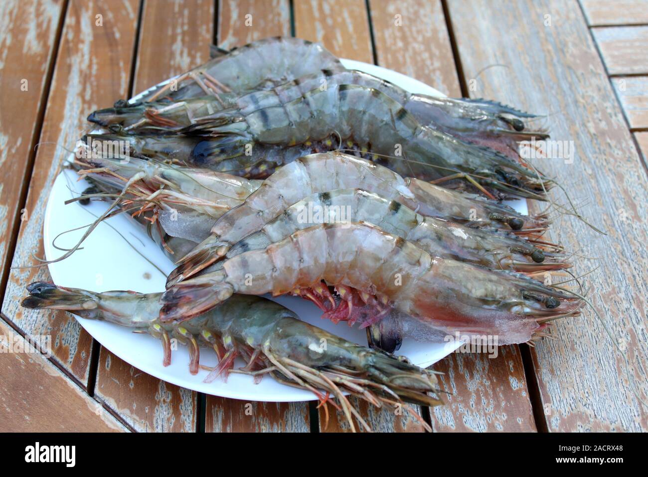 Fresh shrimp hi-res stock photography and images - Alamy