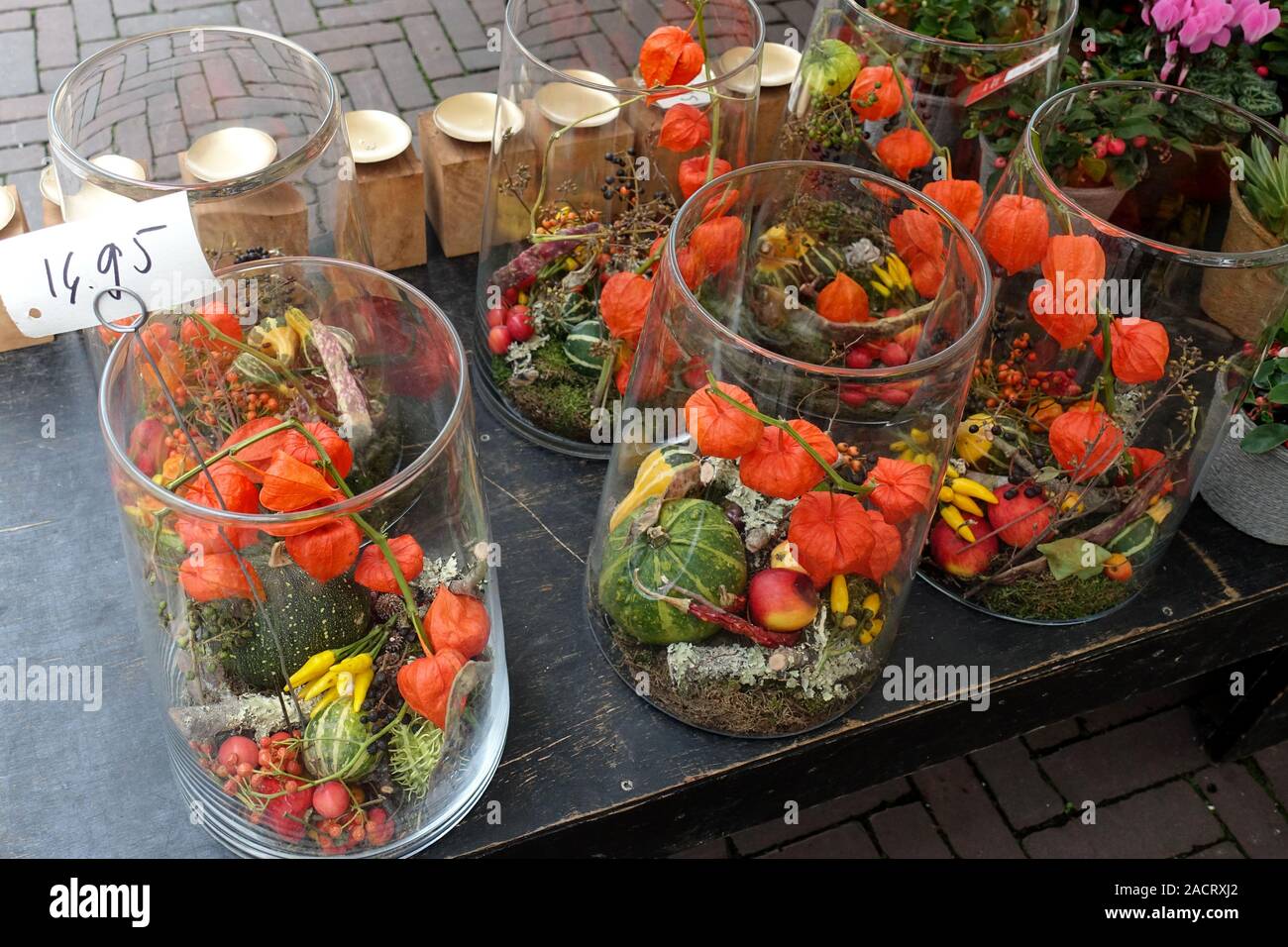 Dried plant displays on an open-air market stall in Middelburg, Zeeland ...