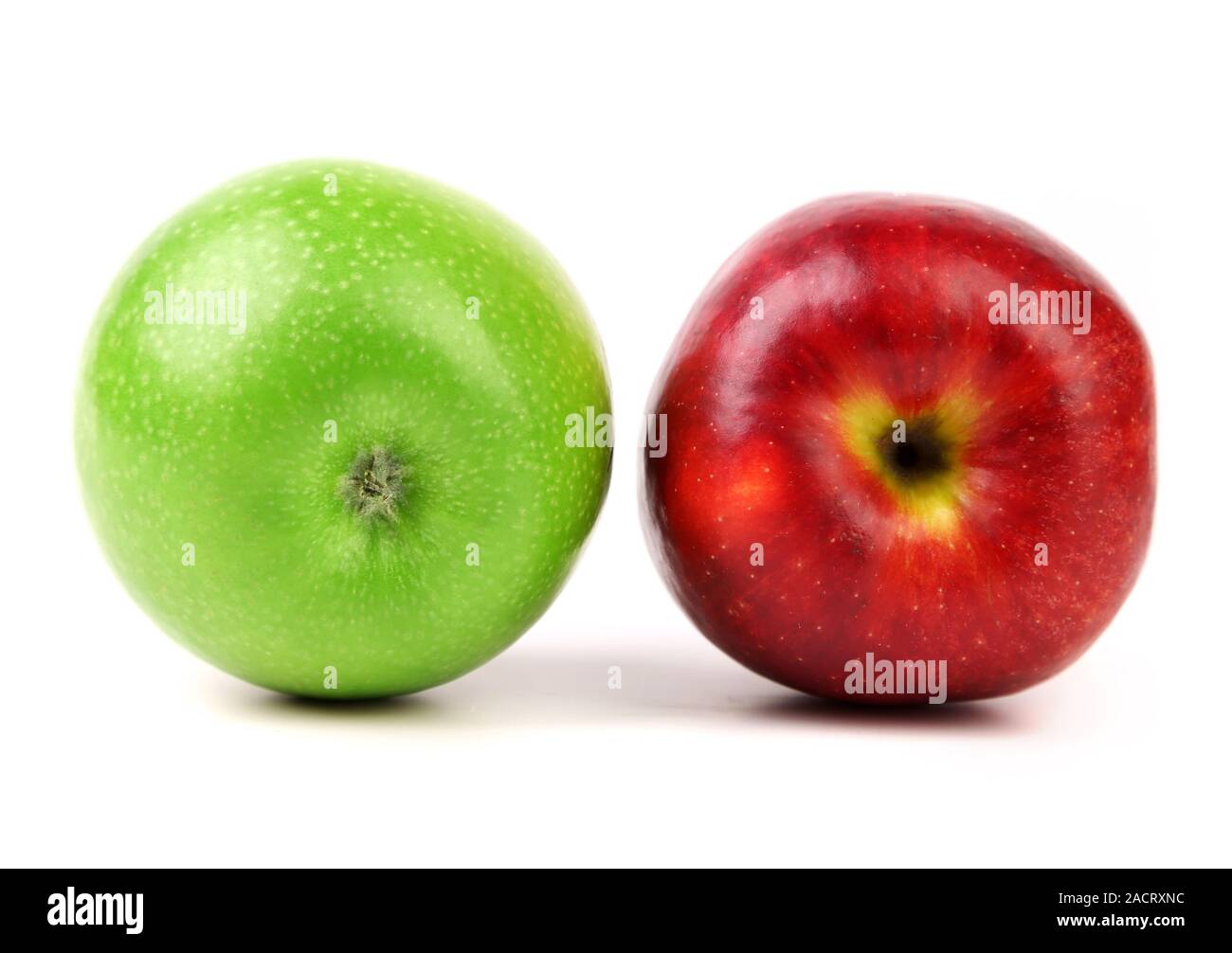Green and red apple on white background Stock Photo - Alamy
