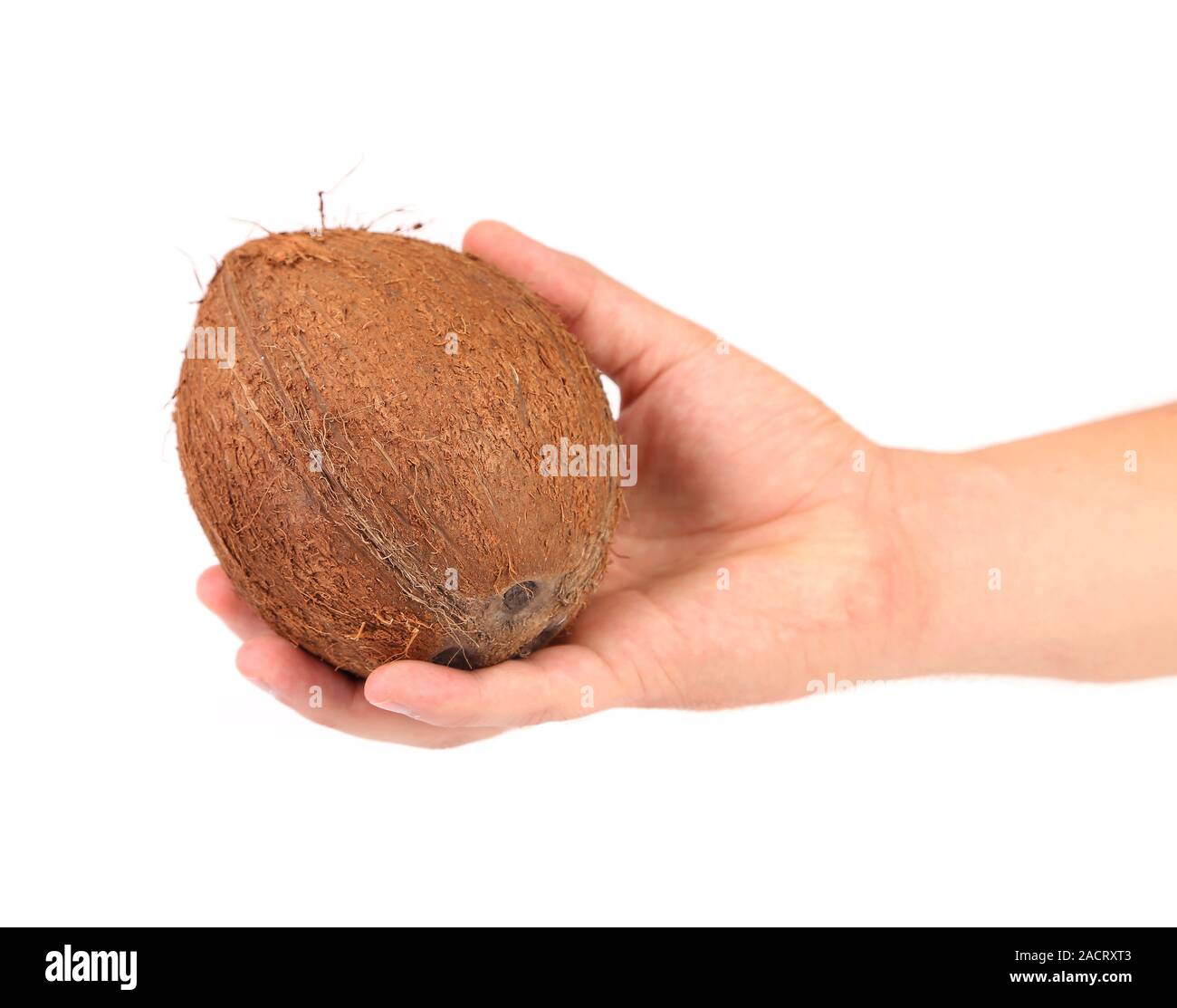 coconut in hand isolated on white background Stock Photo - Alamy