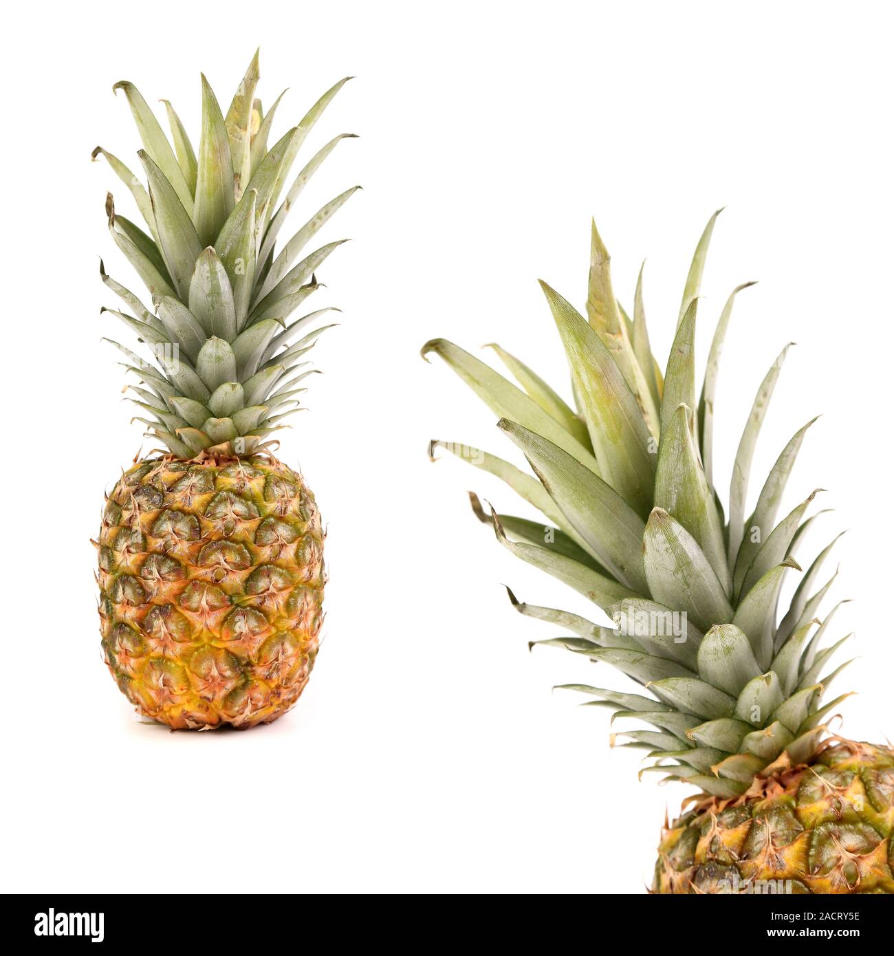 Frame consisting of two pineapples Stock Photo - Alamy