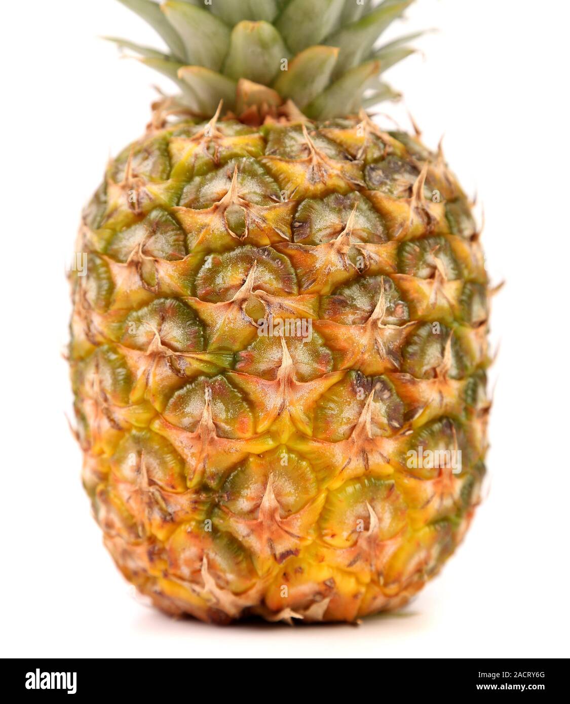 Fresh pineapple. Close up. Isolated Stock Photo - Alamy