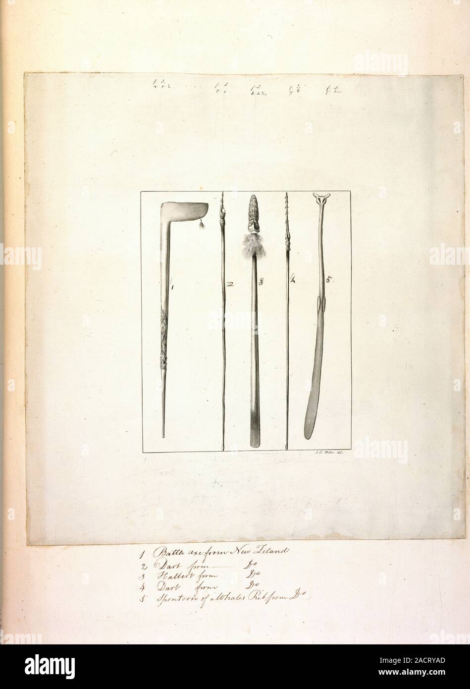 Weapons of New Zealand Whole folio Drawings of a battle axe two darts ...