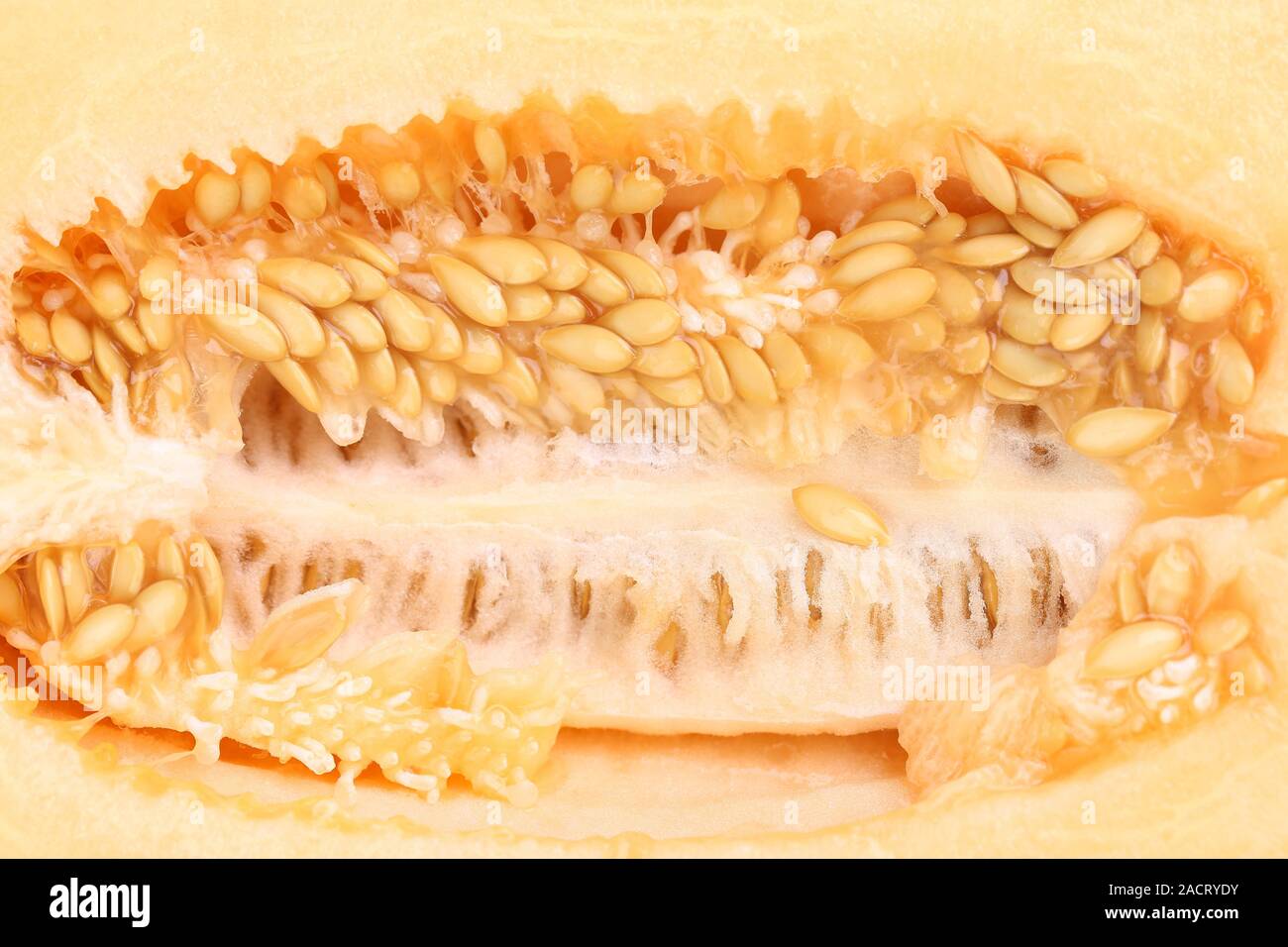 Mushmelon hi-res stock photography and images - Alamy