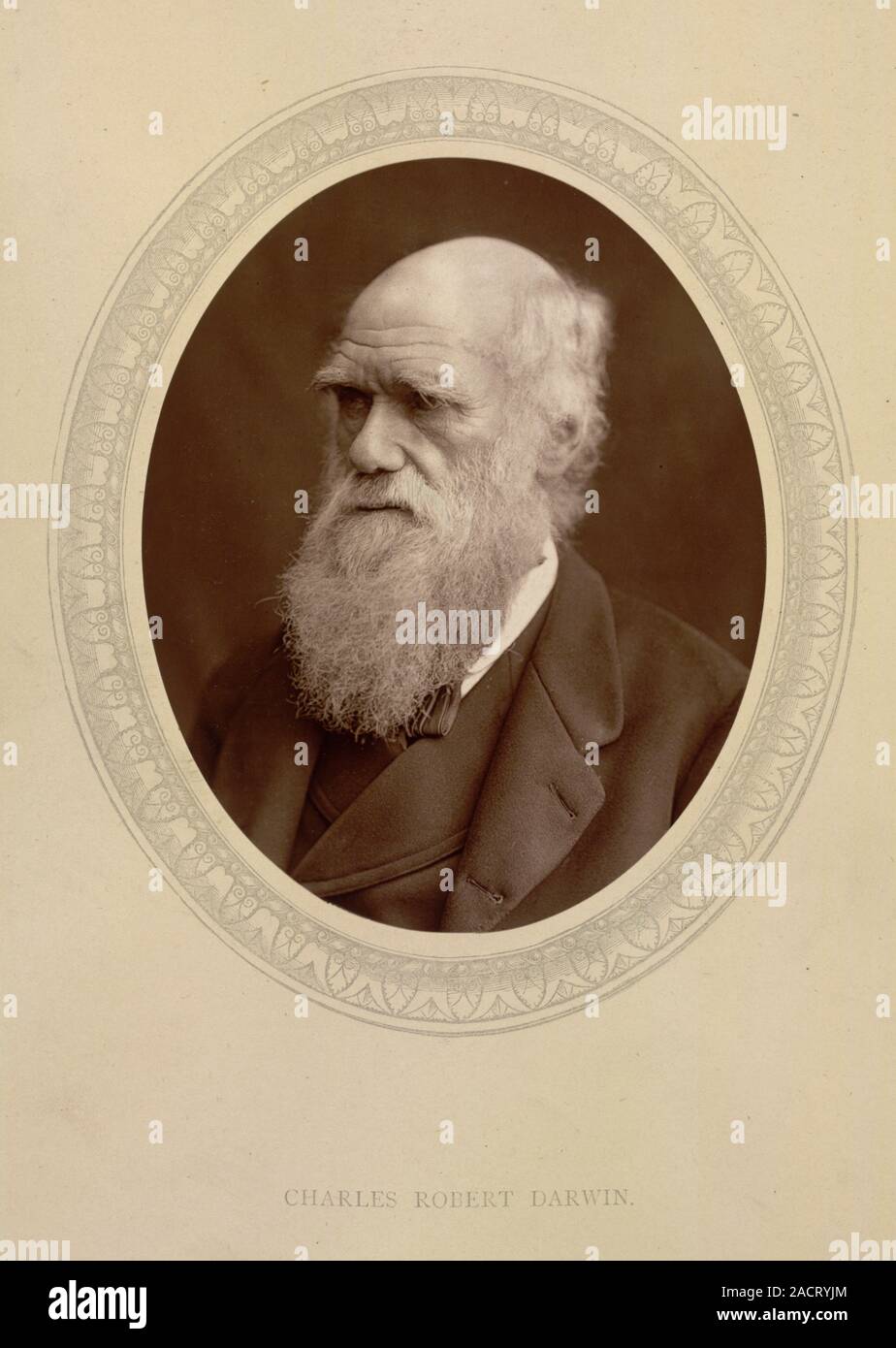 Charles Robert Darwin (1809-1882). English naturaliSt Author of 'The ...