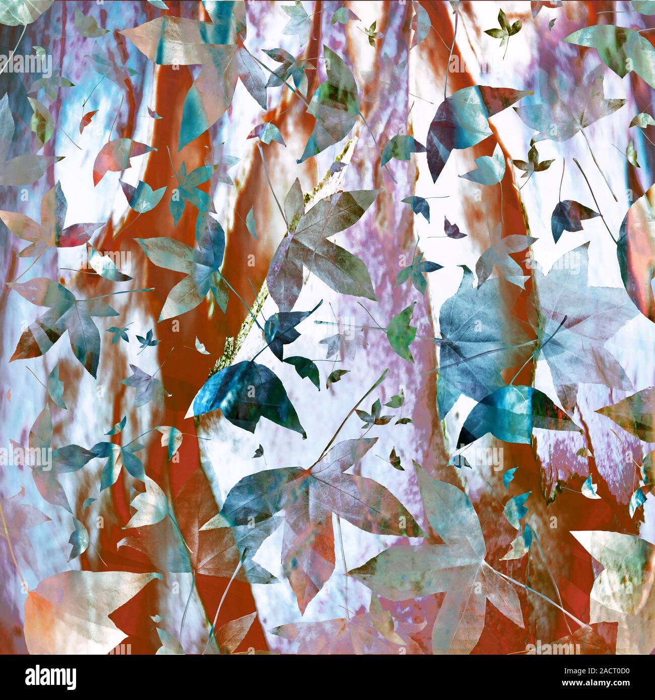 Vintage rustic digital texture. Autumn leaves collage with words ...