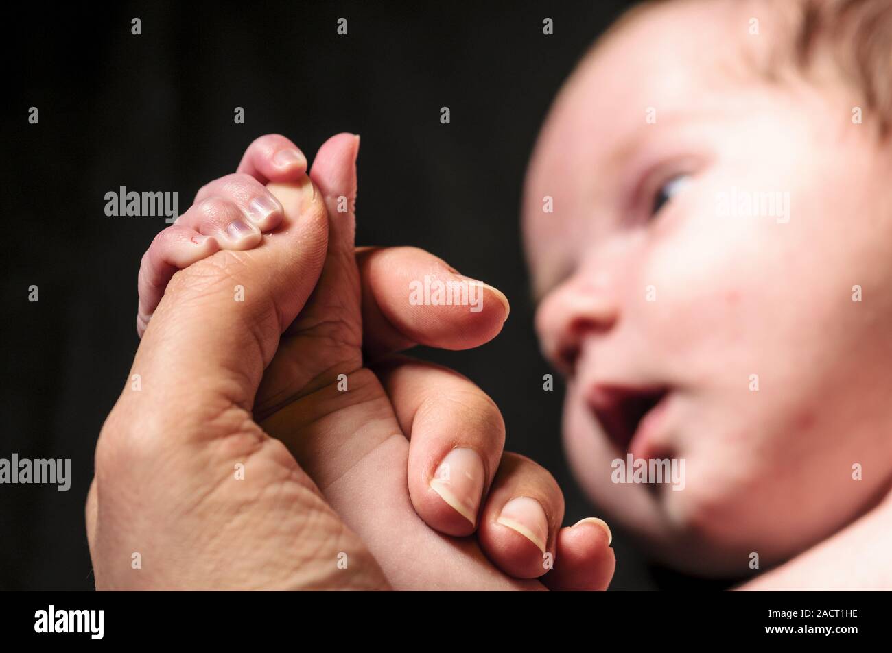Little hands hi-res stock photography and images - Alamy