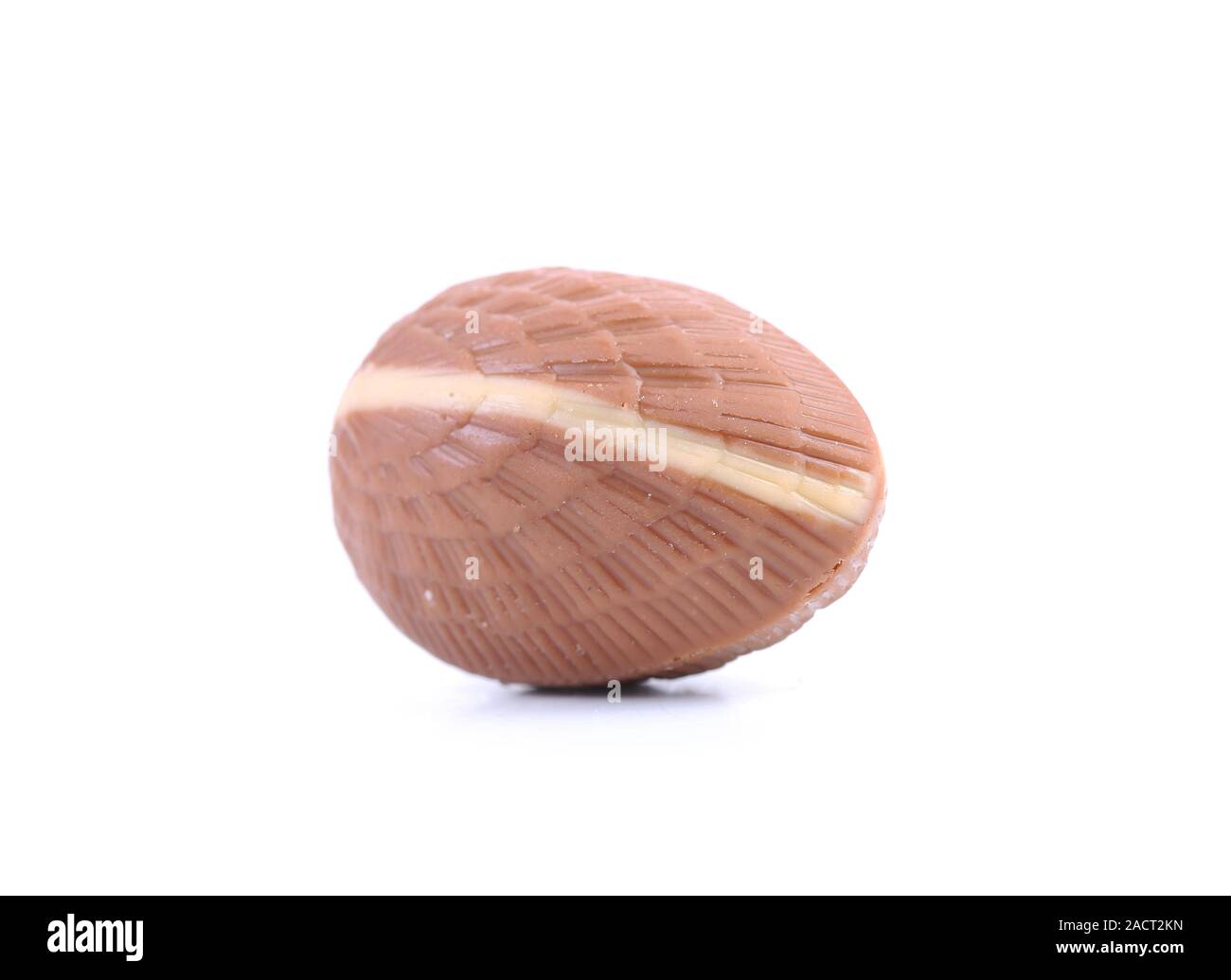 Brown chocolate seashell Stock Photo - Alamy