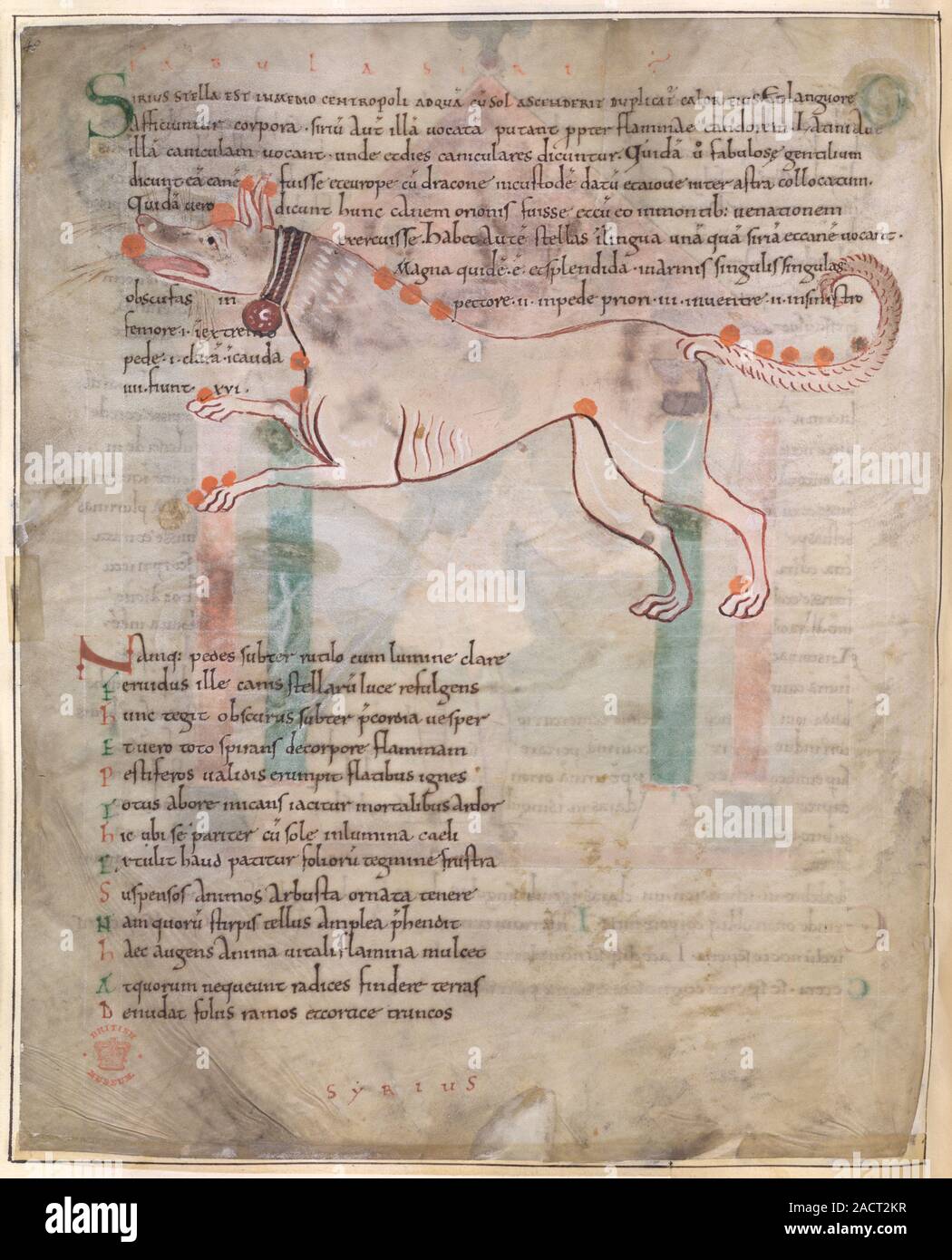 Sirius, Whole folio Illustration of the constellation Sirius; with text ...