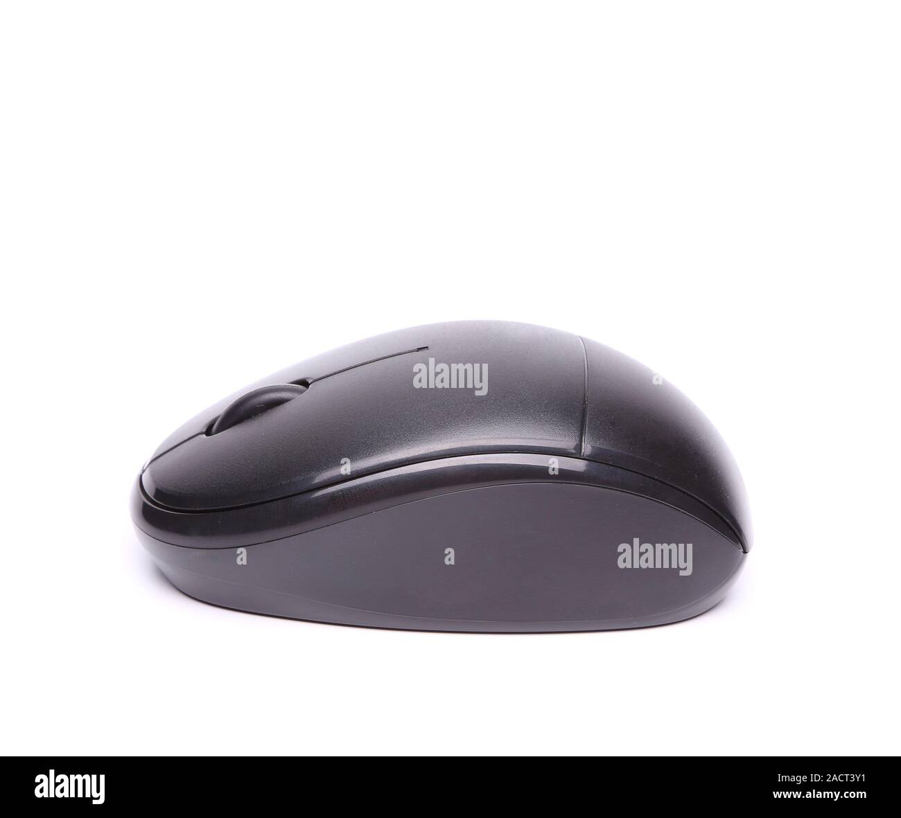 Gray flank hi-res stock photography and images - Alamy