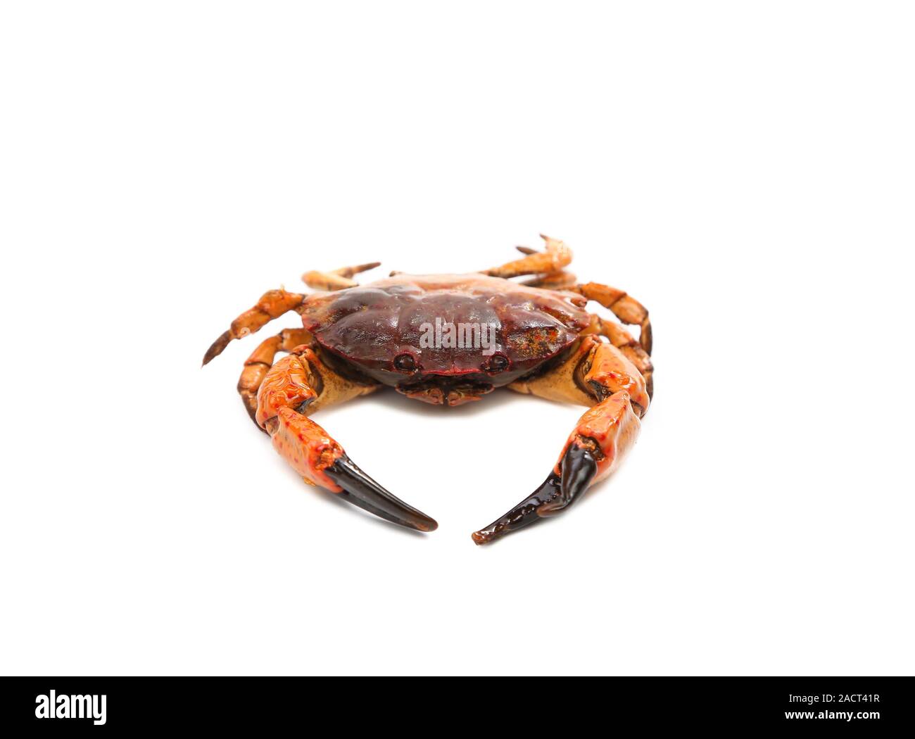 seafood red crab Stock Photo - Alamy