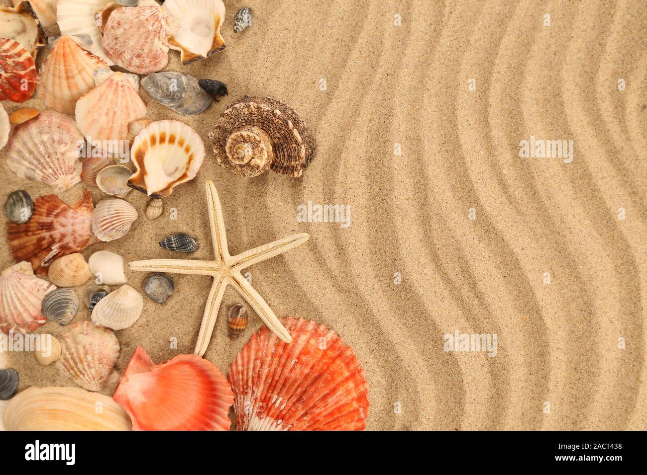 Background of sand, shells and sea start Stock Photo - Alamy