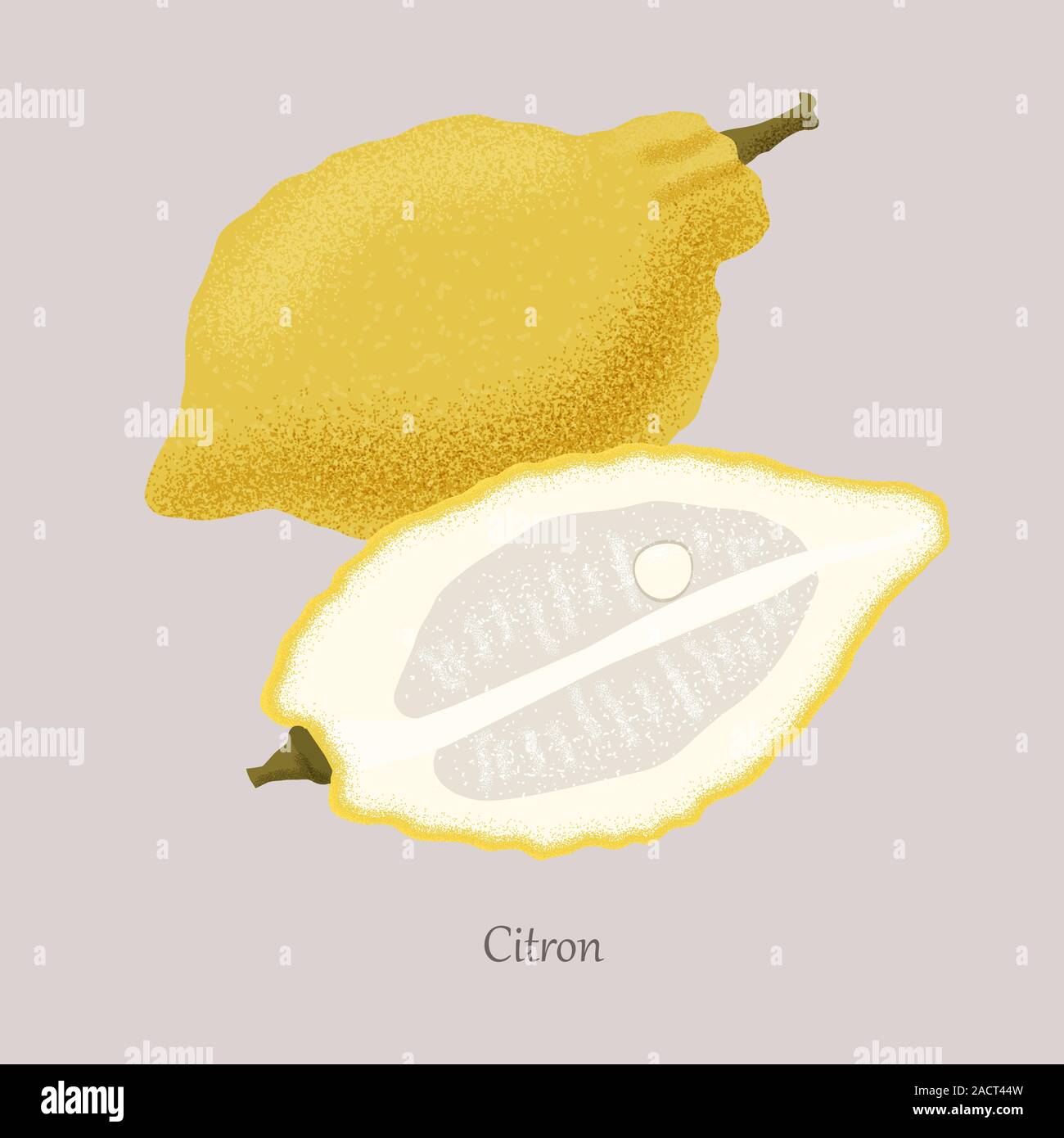 Whole and half citron Stock Vector Images - Alamy