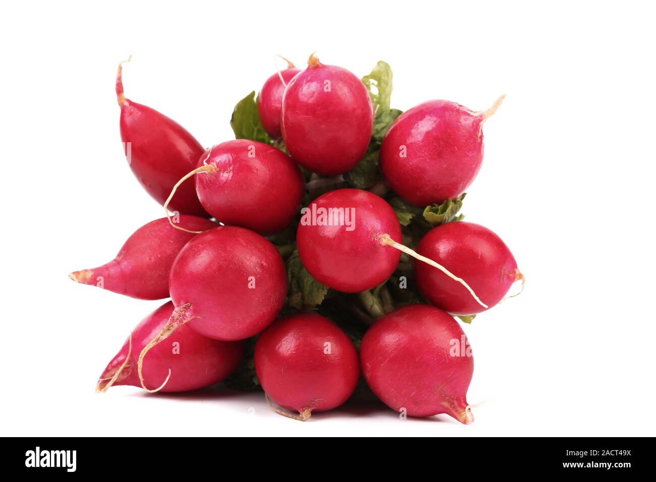 Small garden radish Stock Photo - Alamy