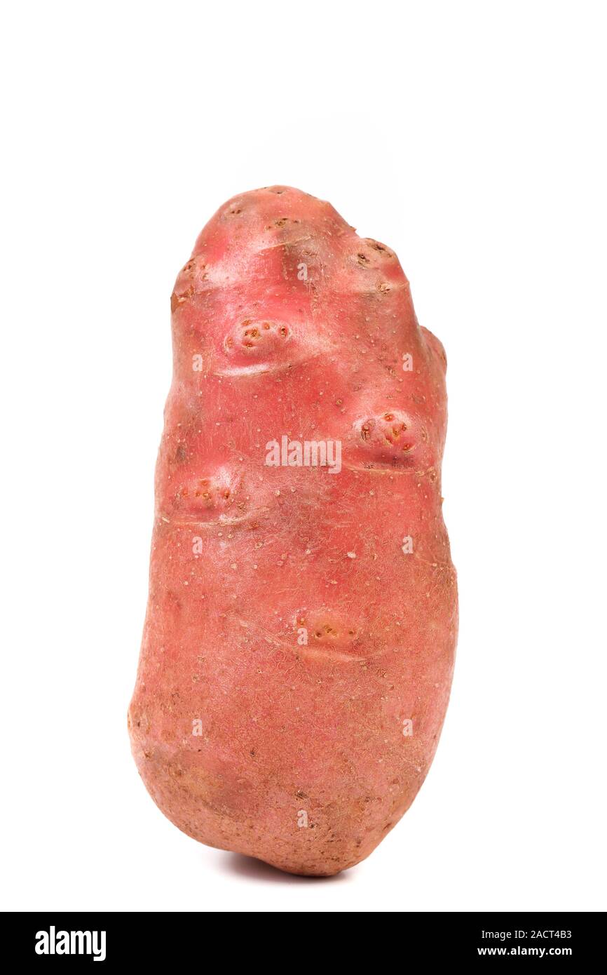 Red sweet potato Stock Photo - Alamy