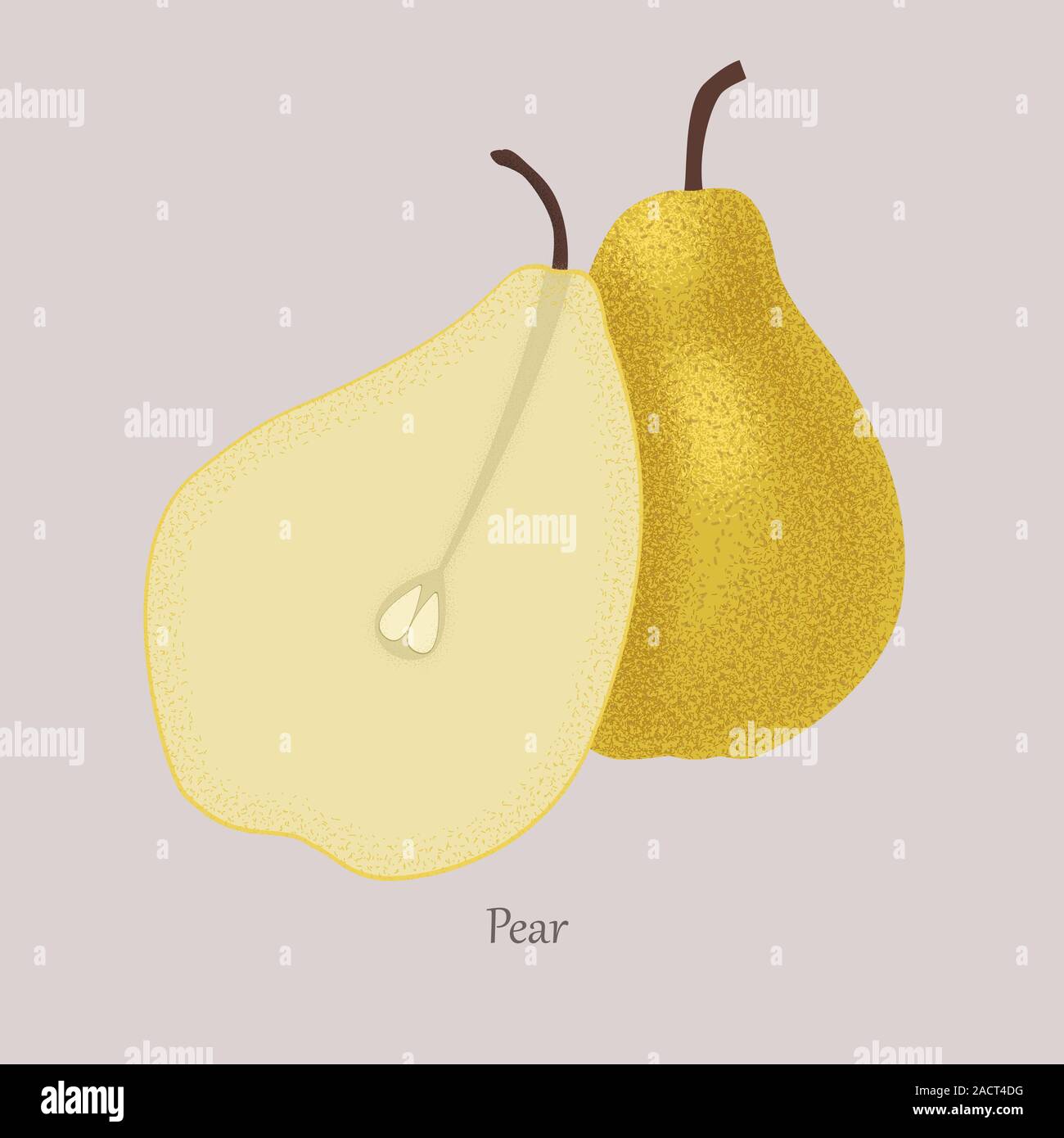 Pear in tree Stock Vector Images - Alamy