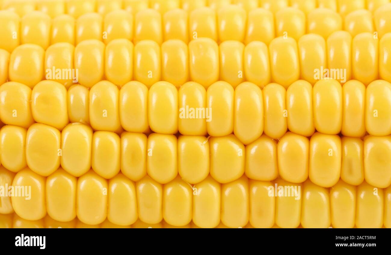 Background of indian corn Stock Photo - Alamy