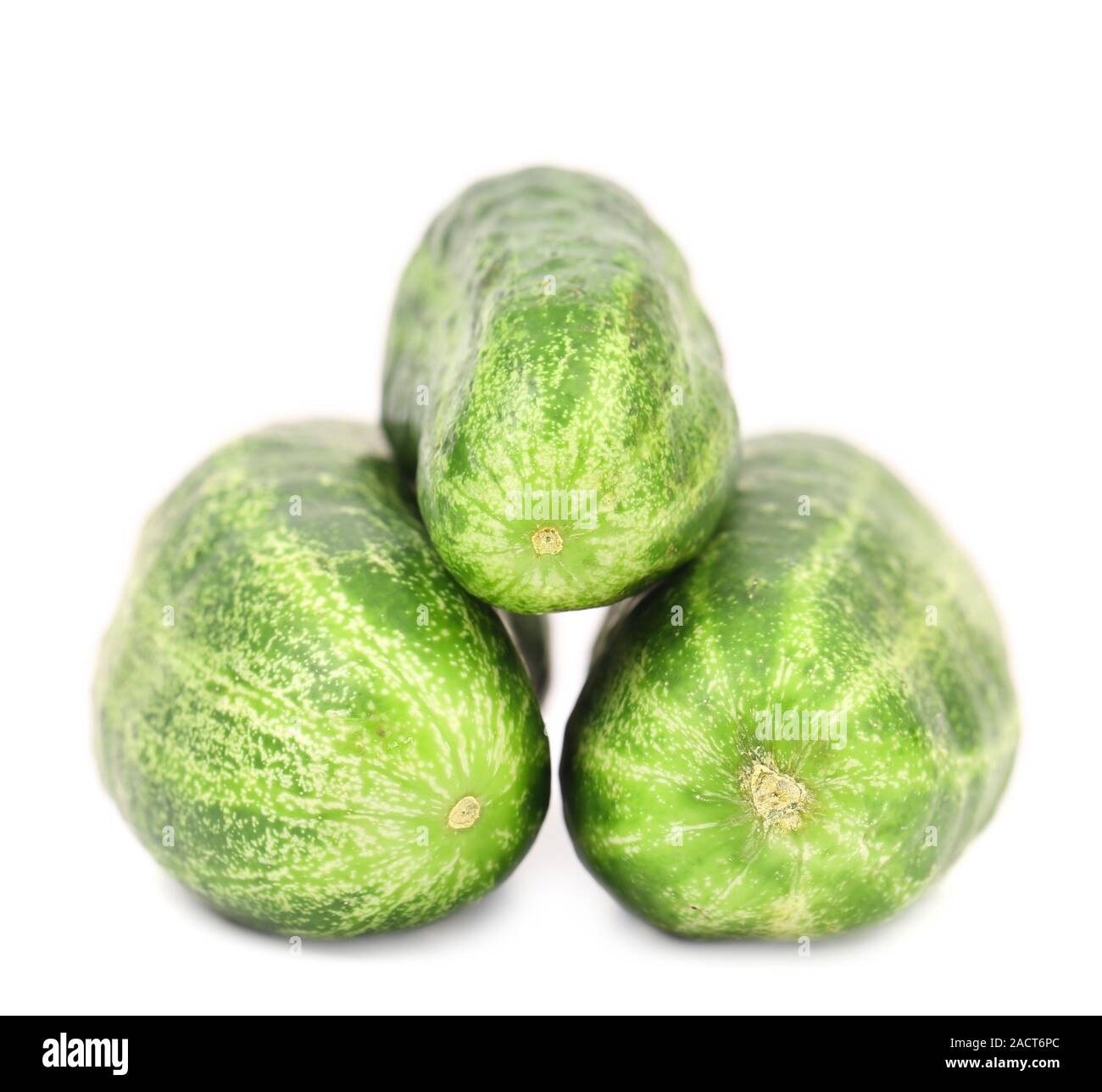 Tails up Cut Out Stock Images & Pictures - Alamy