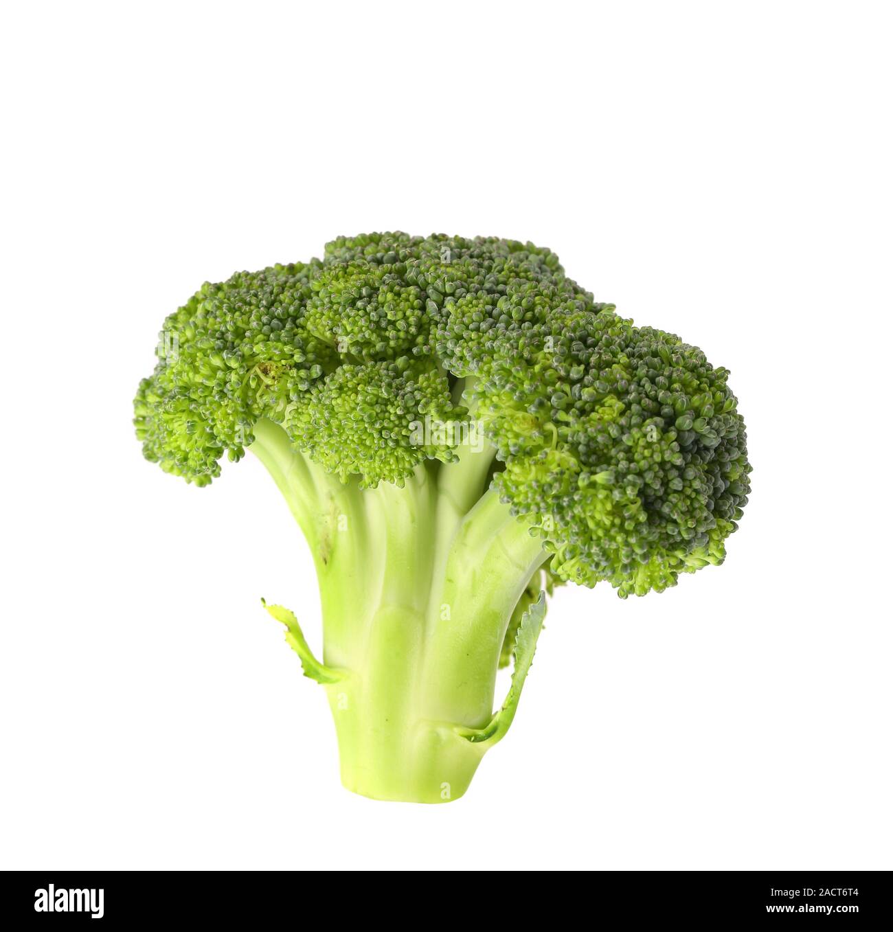 Broccoli vegetable isolated on white Stock Photo - Alamy