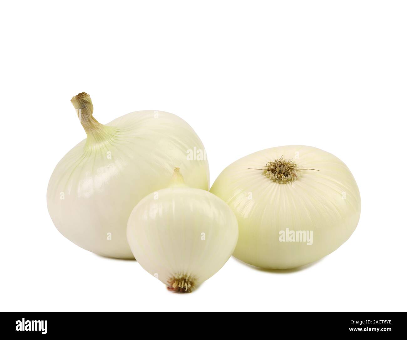 white onion isolated Stock Photo - Alamy