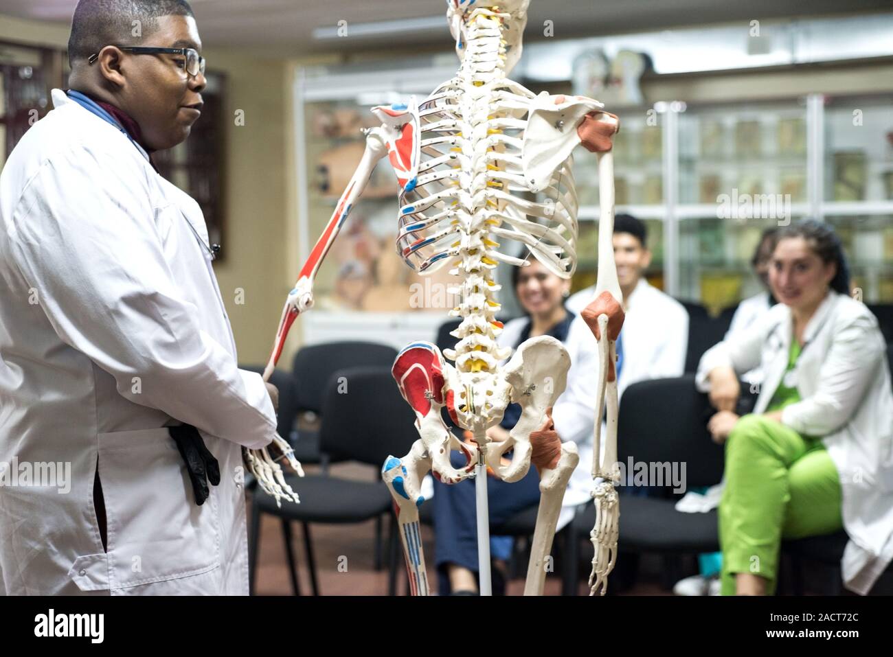 doctors of mixed race, of different sexes, in the study room, study ...