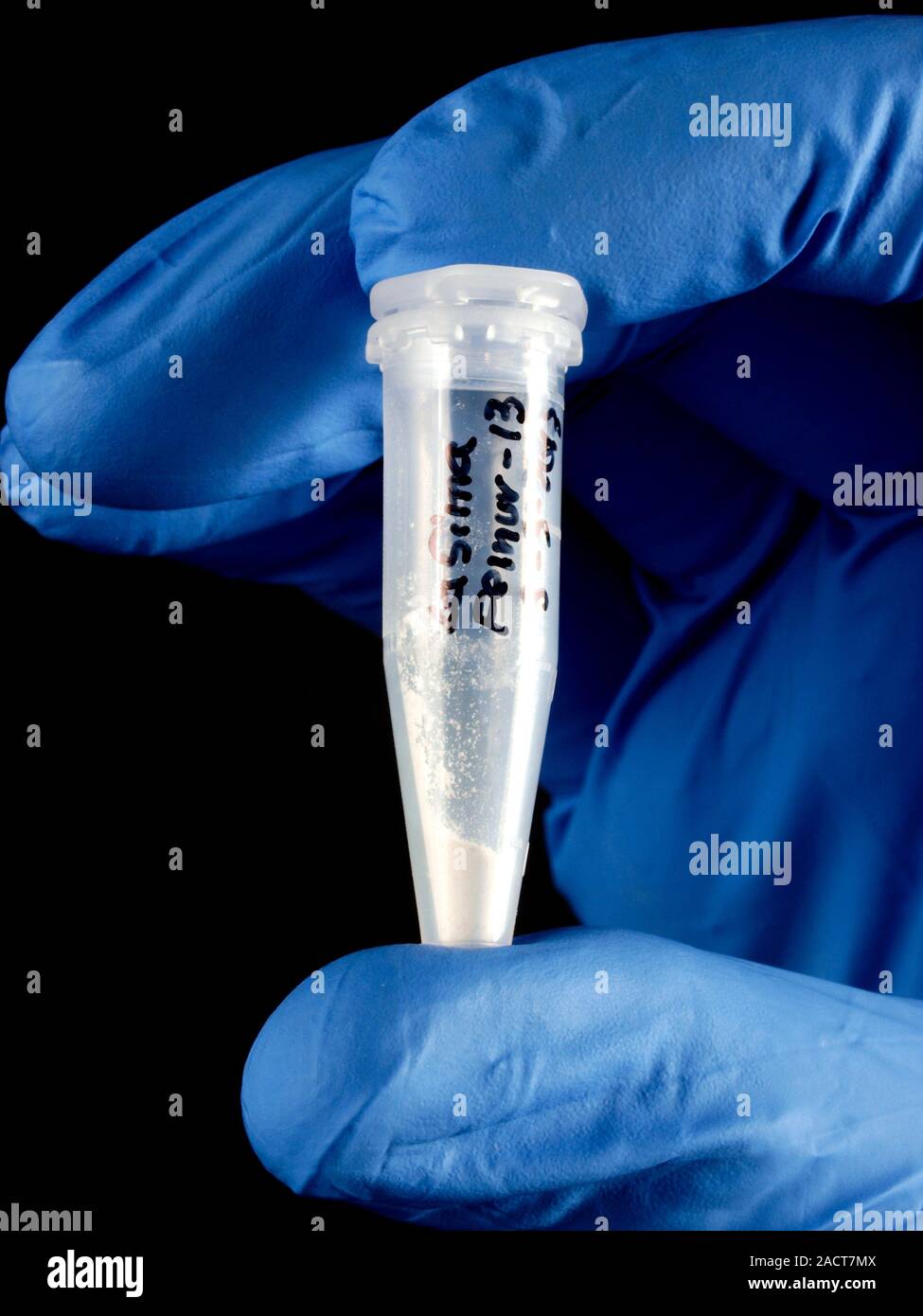 Extraction of fossil DNA (deoxyribonucleic acid). Sample of material ...