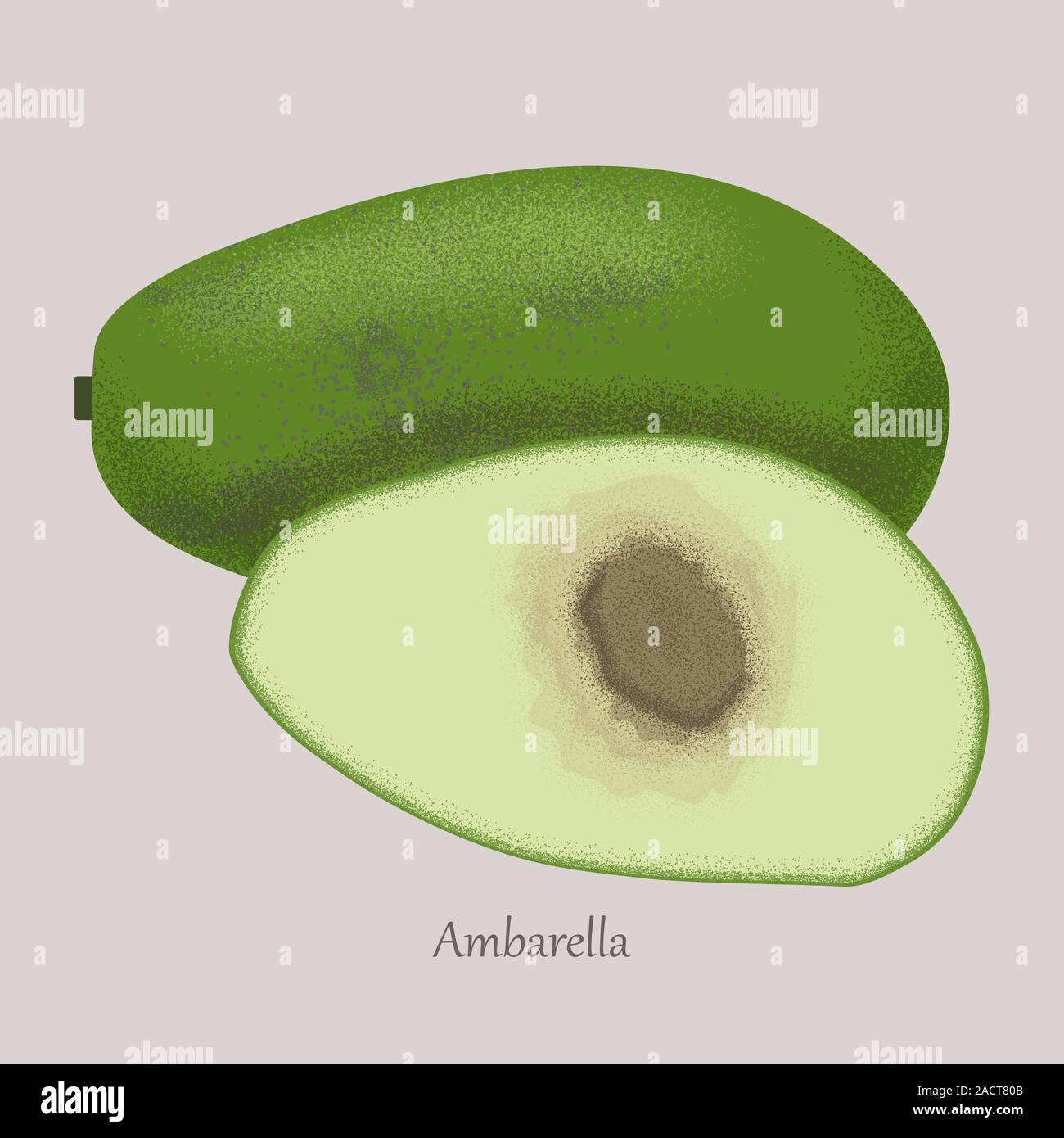 Ambarella exotic juicy fruit whole and cut Stock Vector Image & Art - Alamy