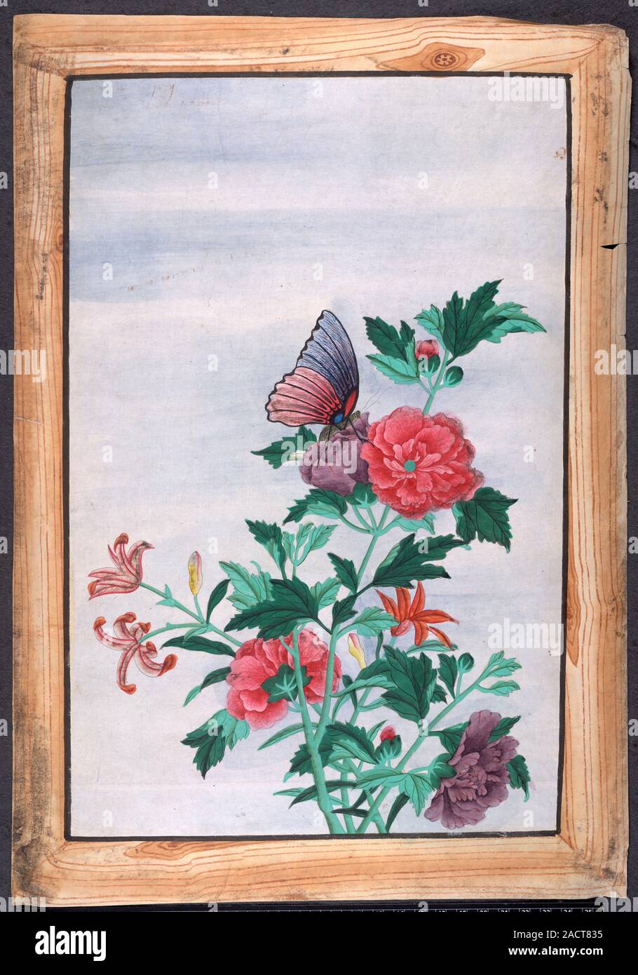 A butterfly resting on a flower, One of 7 drawings of birds, flowers ...