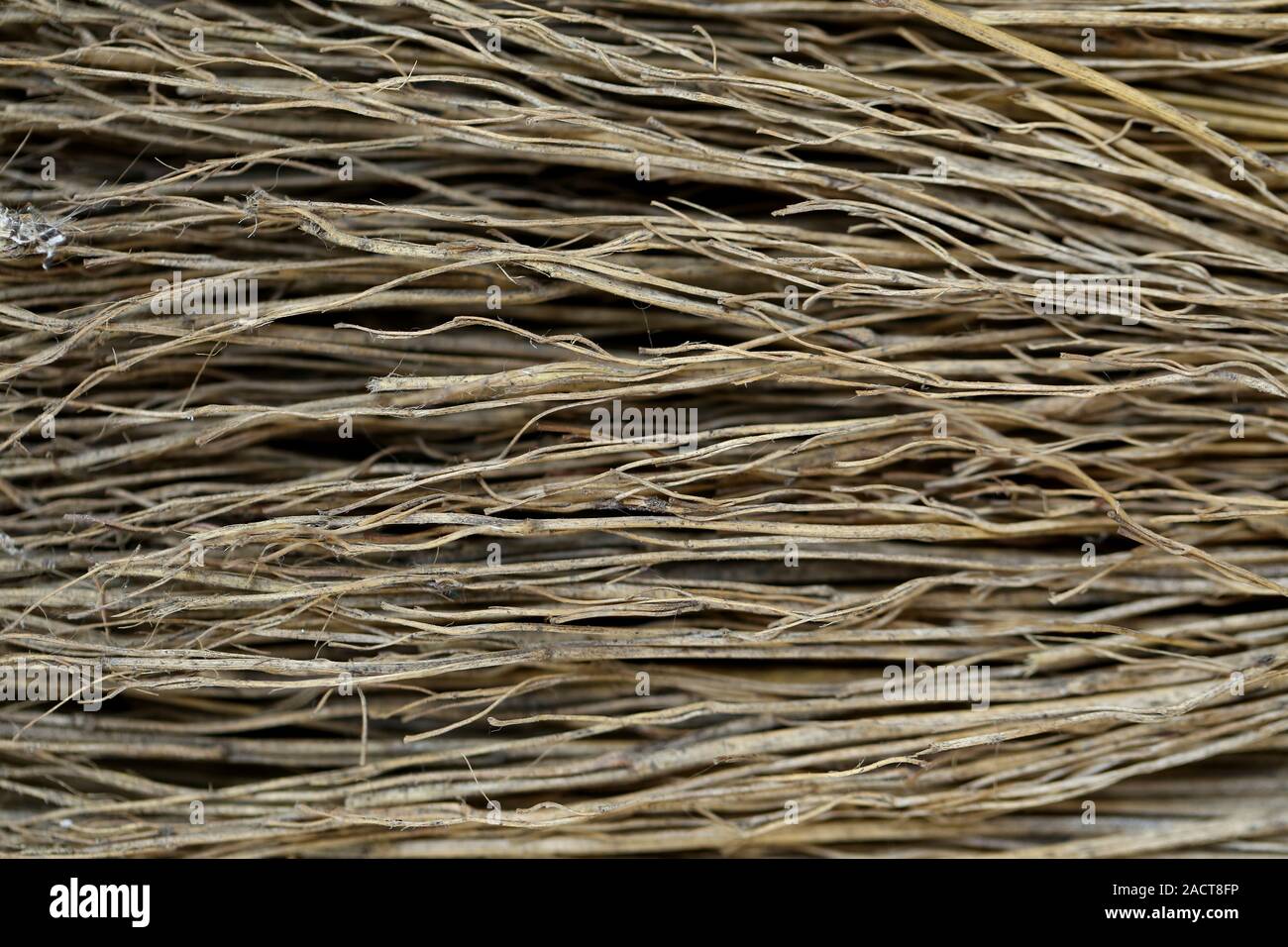 Broom texture hi-res stock photography and images - Alamy