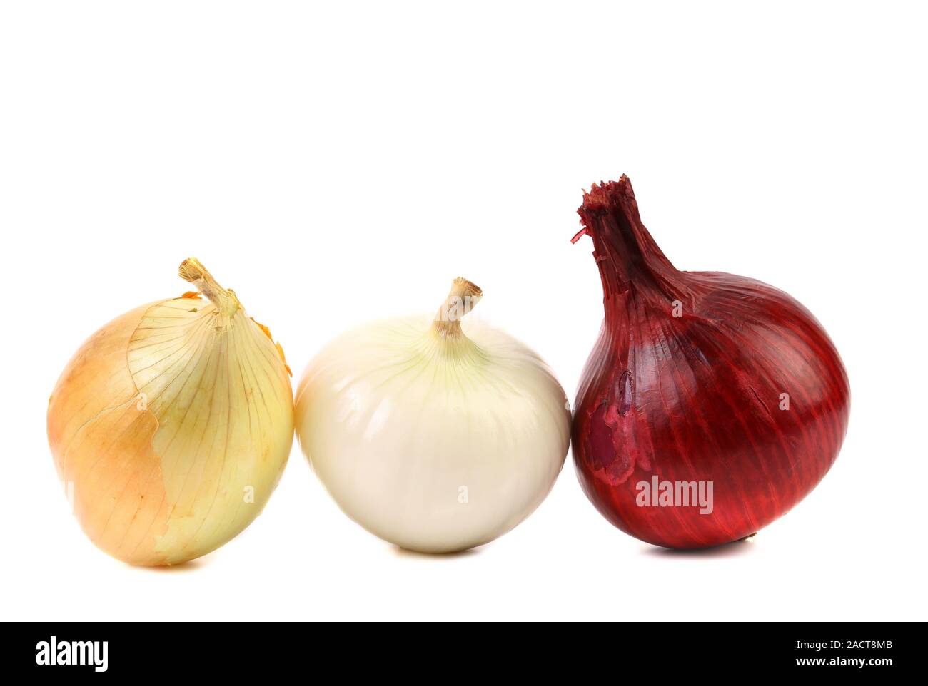 Three organic large onions hi-res stock photography and images - Alamy
