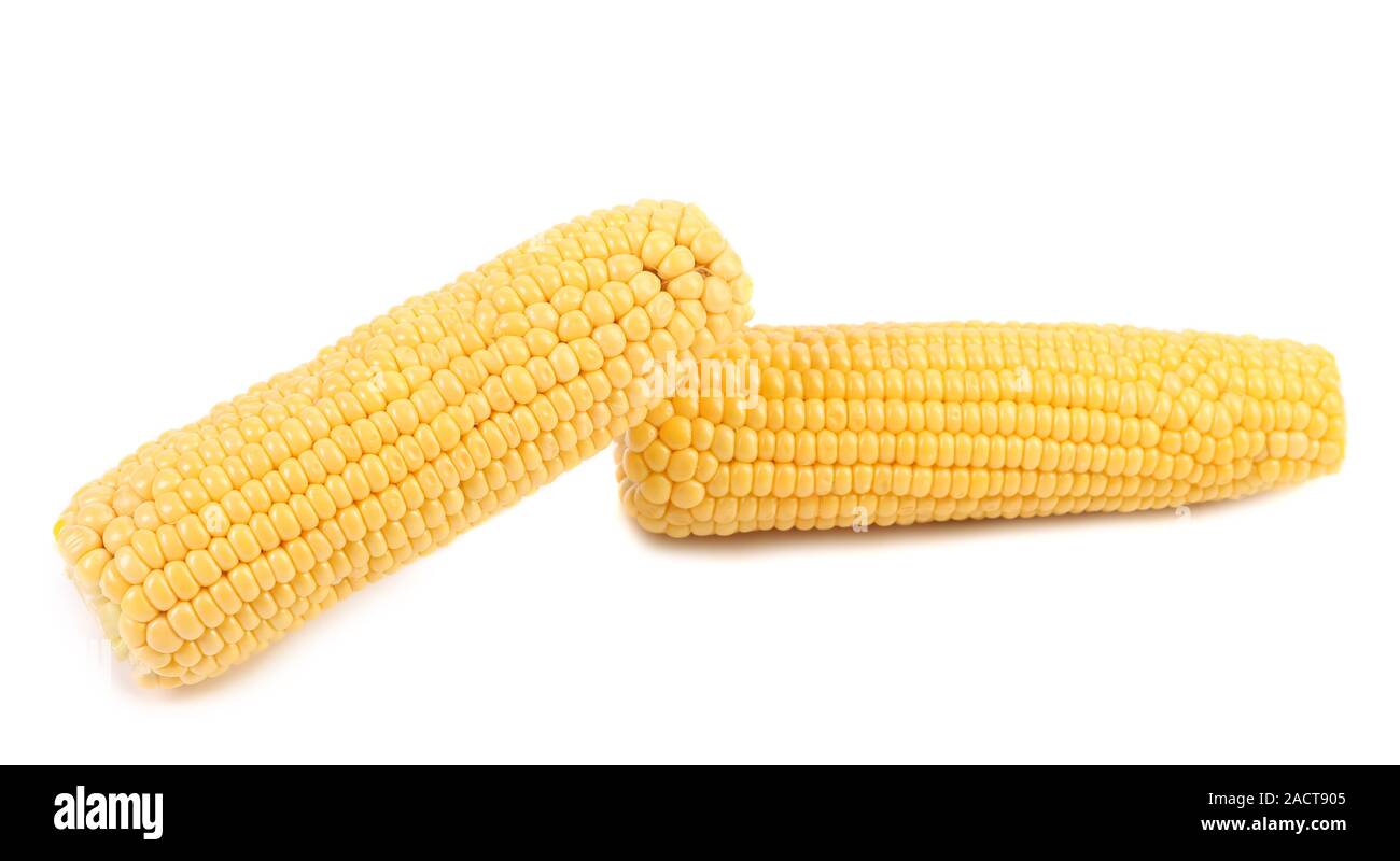 Two corncobs on a white background Stock Photo - Alamy