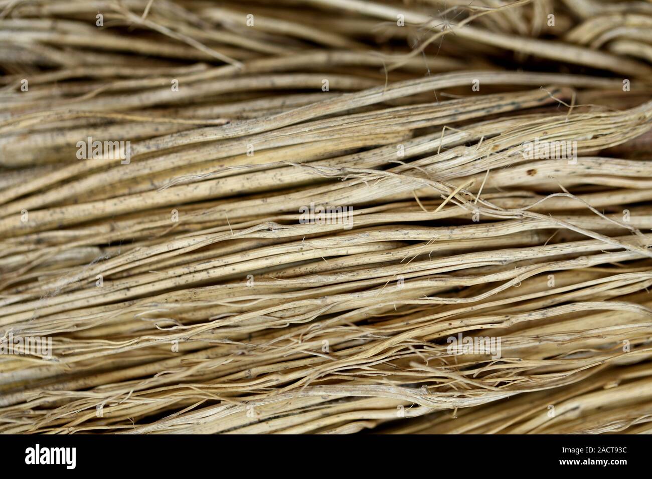 Broom texture hi-res stock photography and images - Alamy