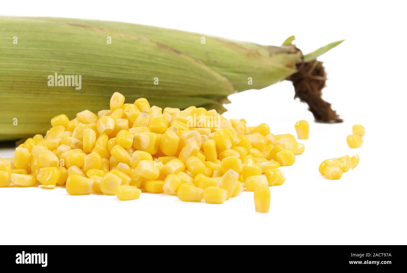 Closed corncob and corn kernels Stock Photo - Alamy