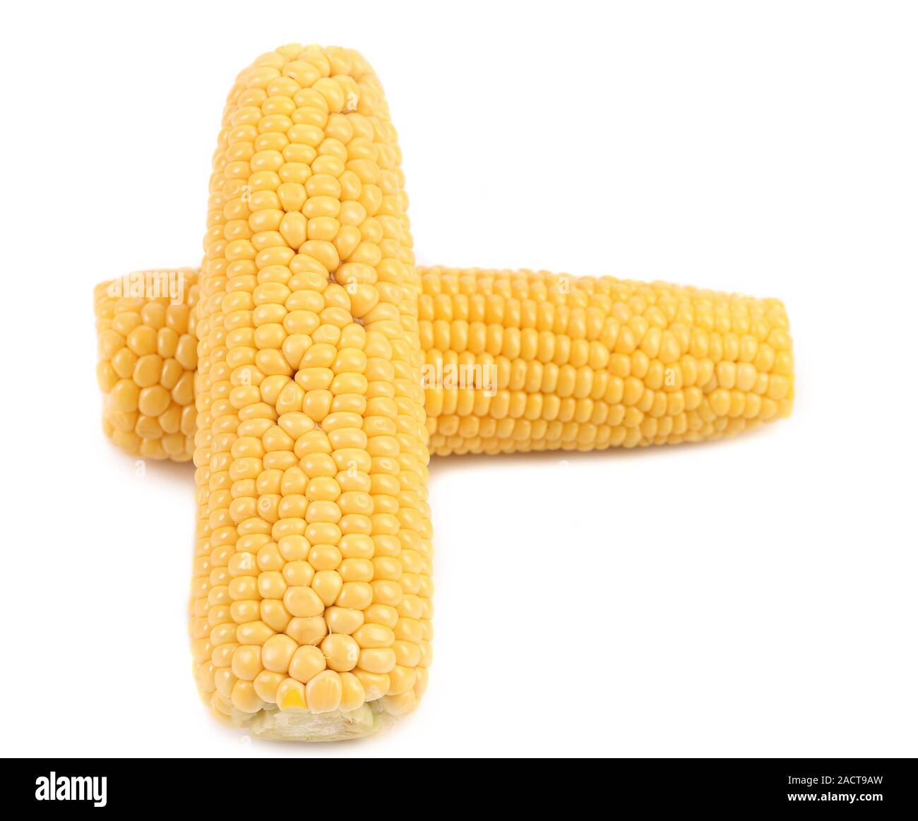 Two corncobs on a white background Stock Photo - Alamy