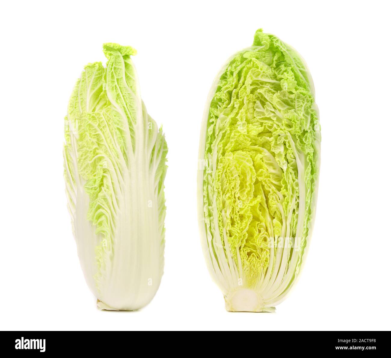 Fresh Chinese cabbage vegetable and slice Stock Photo - Alamy