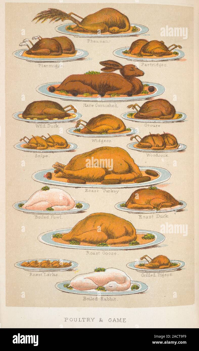 Poultry and game, Illustration showing meat dishes: Pheasant; Ptarmigan ...