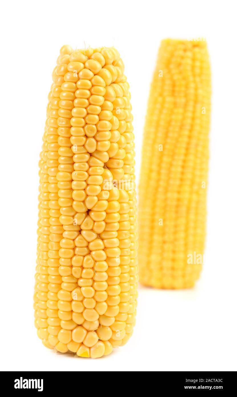Two corncobs hi-res stock photography and images - Alamy