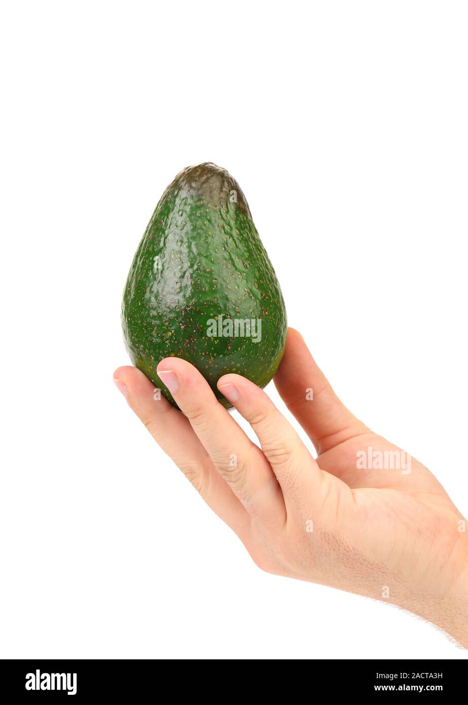Hand holds avocado Stock Photo - Alamy