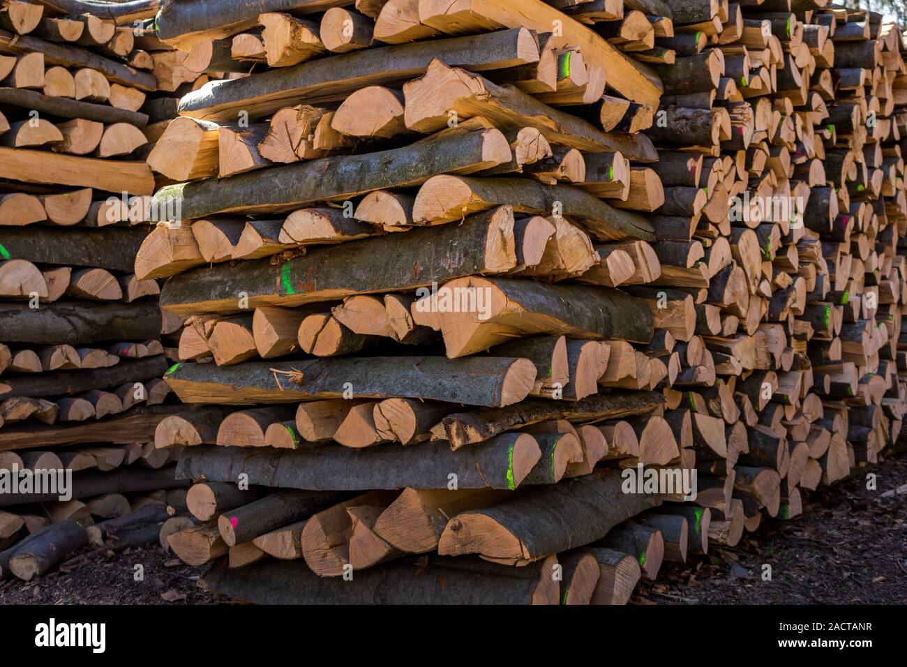 Trunks cut to size Stock Photo - Alamy